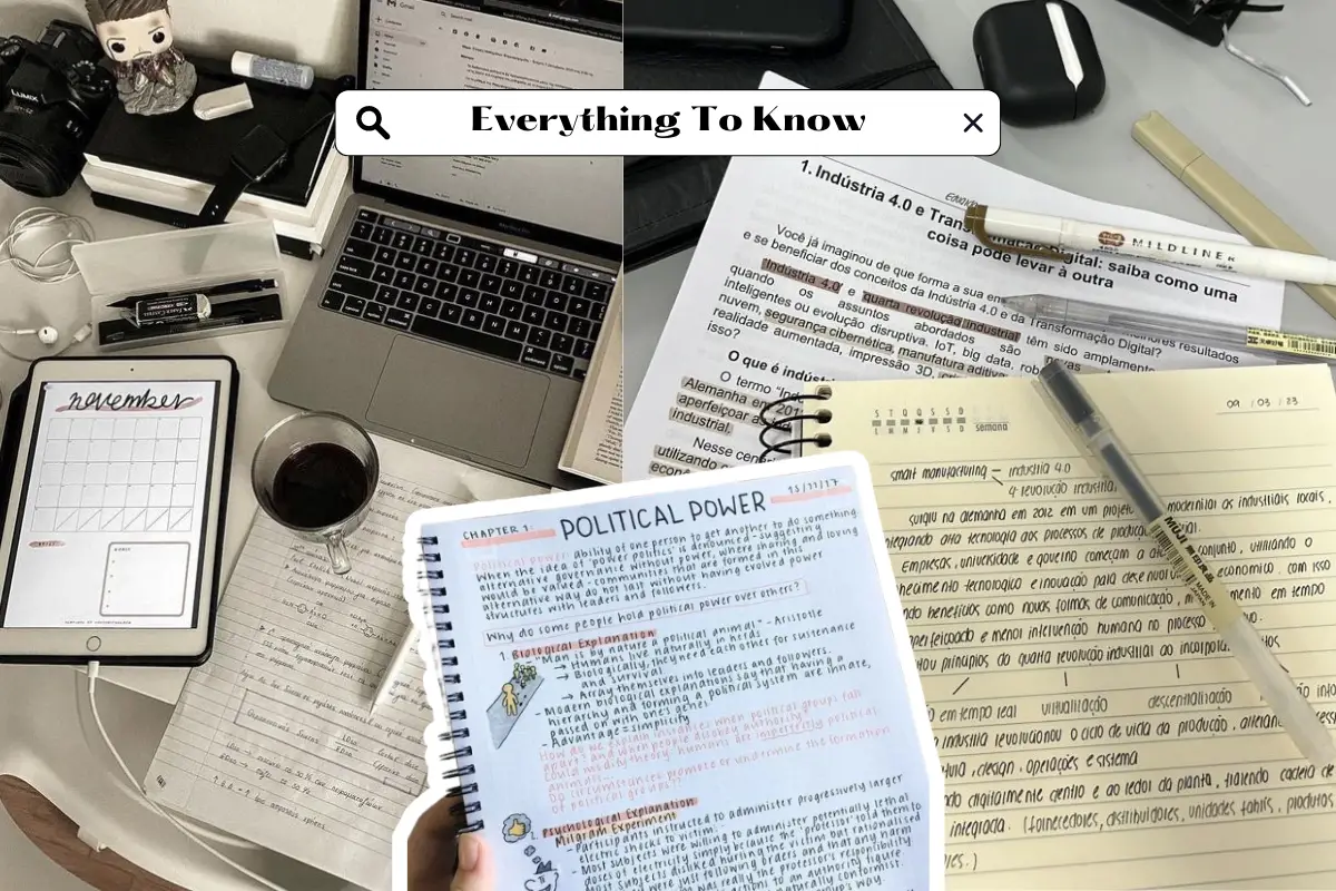 Mastering the Art of Studying: Flash Cards and Study Plan - Your Local ...